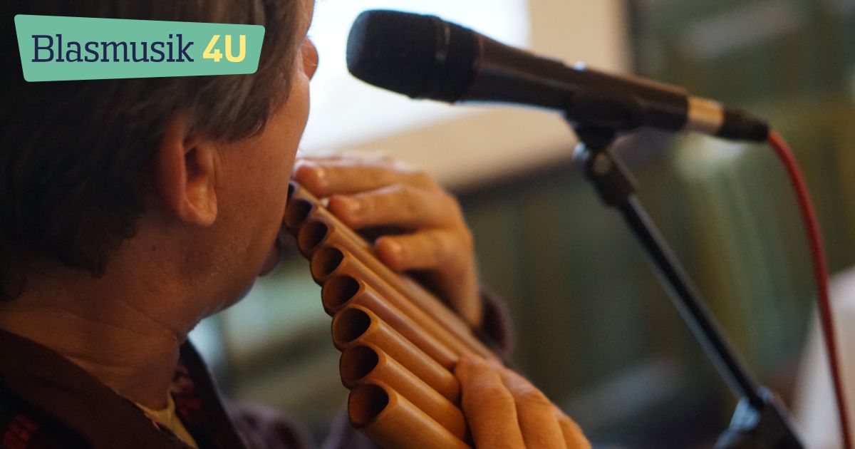 Außergewöhnliche Blasinstrumente: Panflöte / Blasmusik4u